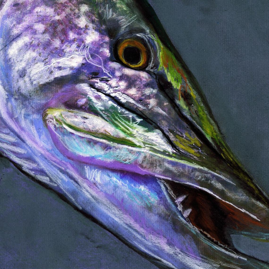 Northern Pike Art Print Freshwater Fishing Wall Art Print - Etsy