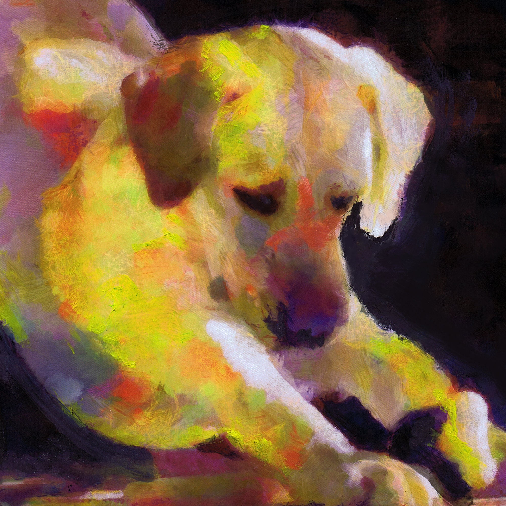 Yellow Labrador Retriever Art Print: Colourful Stretching Lab Puppy ...