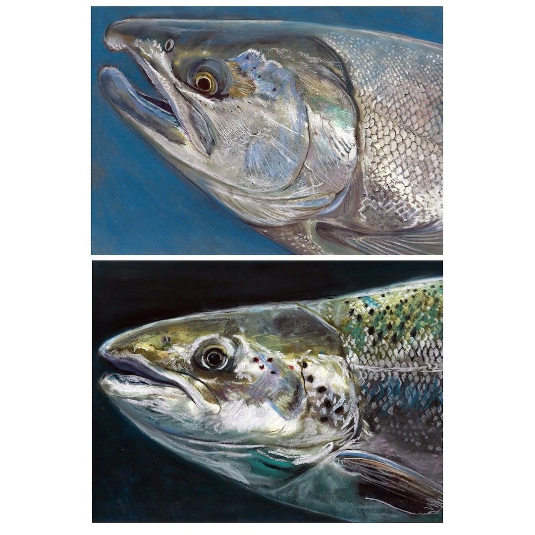 Set of Two Atlantic Salmon Wall Art Print ,salmon Painting Print, Fly ...