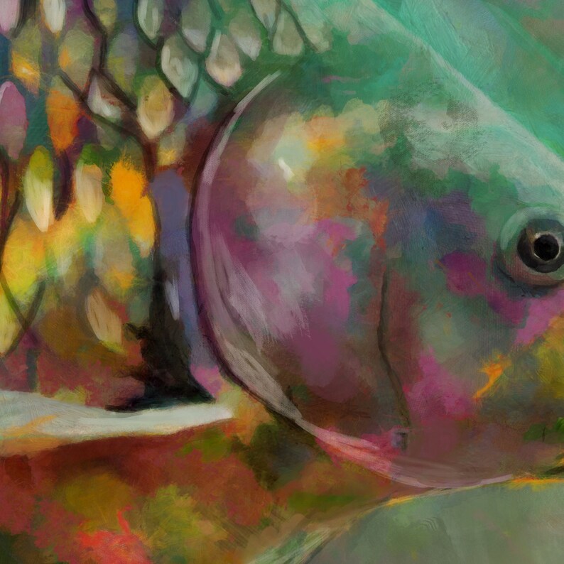 Carp Modern Art Print Freshwater Carp Fishing Wall Art Print - Etsy