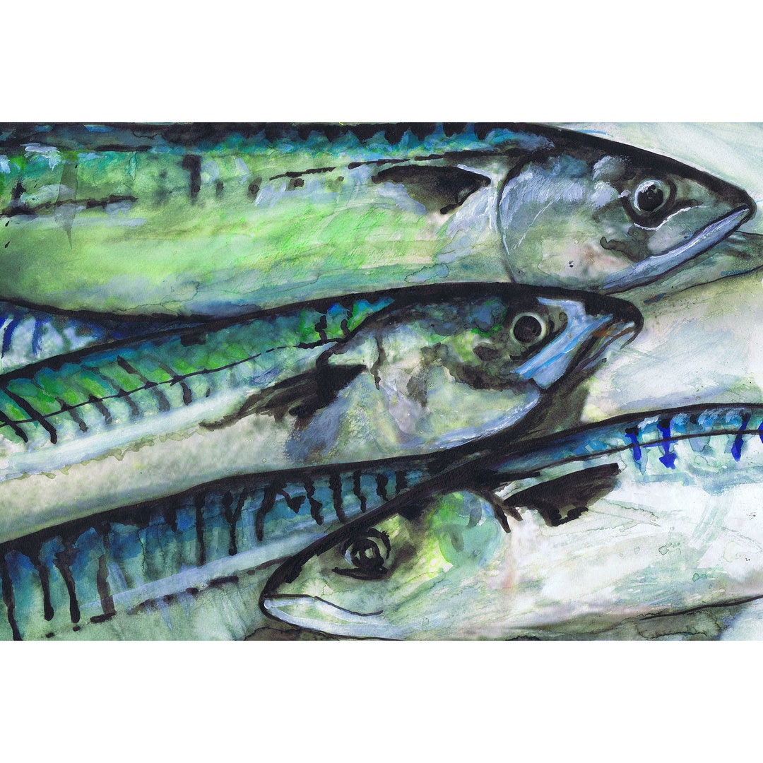 Mackerel Print Nautical Fish Art Seafood Art Coastal Watercolour ...