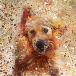 Muddy Splashy Lab Dog Wall Art Print, Yellow Fox Red Labrador Dog ...
