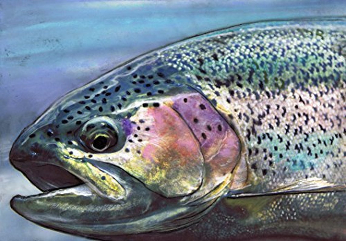 Rainbow Trout Fly Fishing Art Gift Fly Fishing Wall Art - Etsy