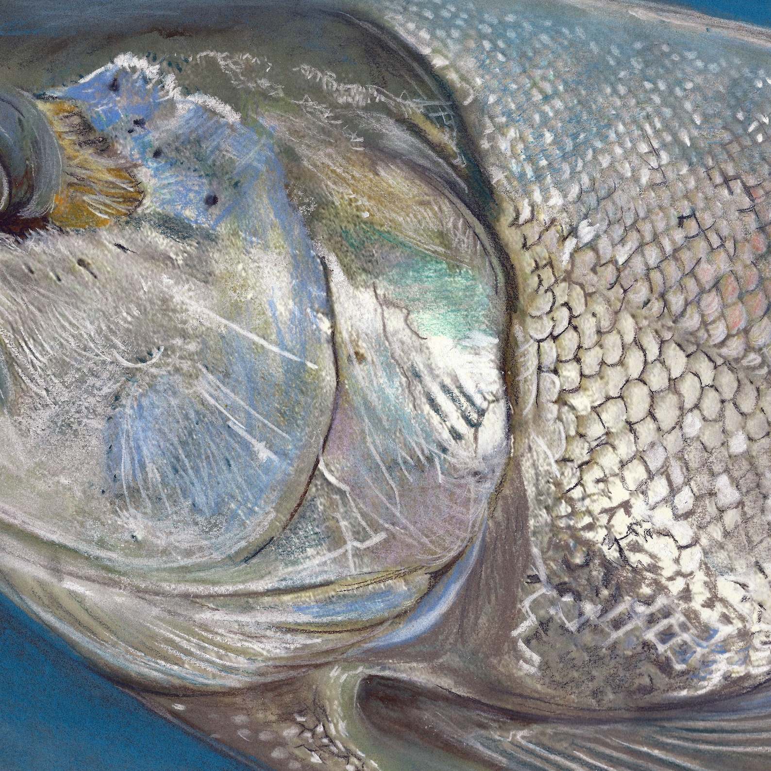 Atlantic Salmon Wall Art Print salmon Painting Print Fly - Etsy