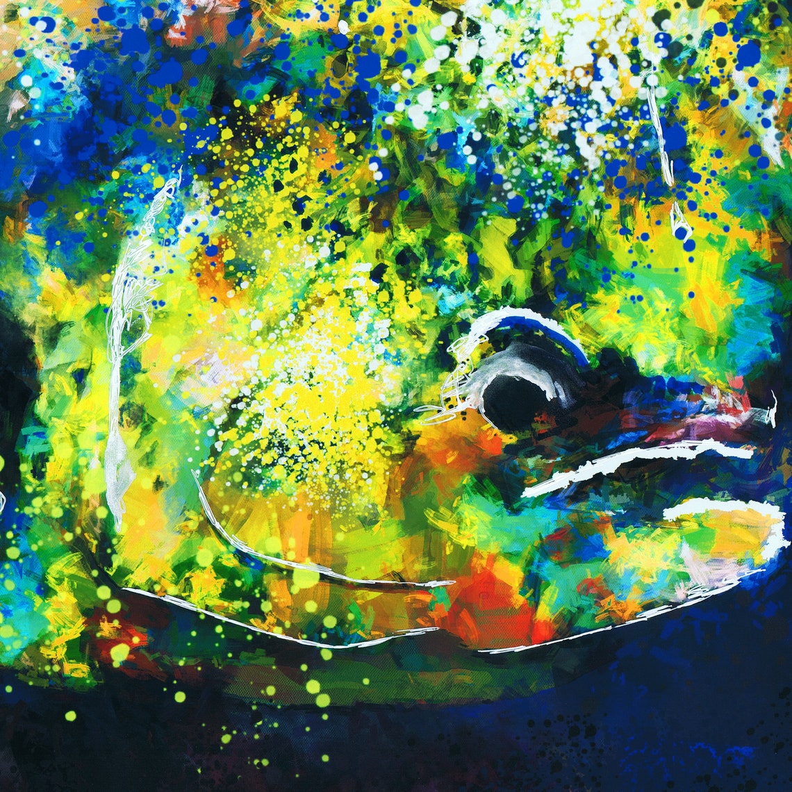 Hand-signed Mahi-mahi Dolphinfish Wall Art Prints Florida - Etsy