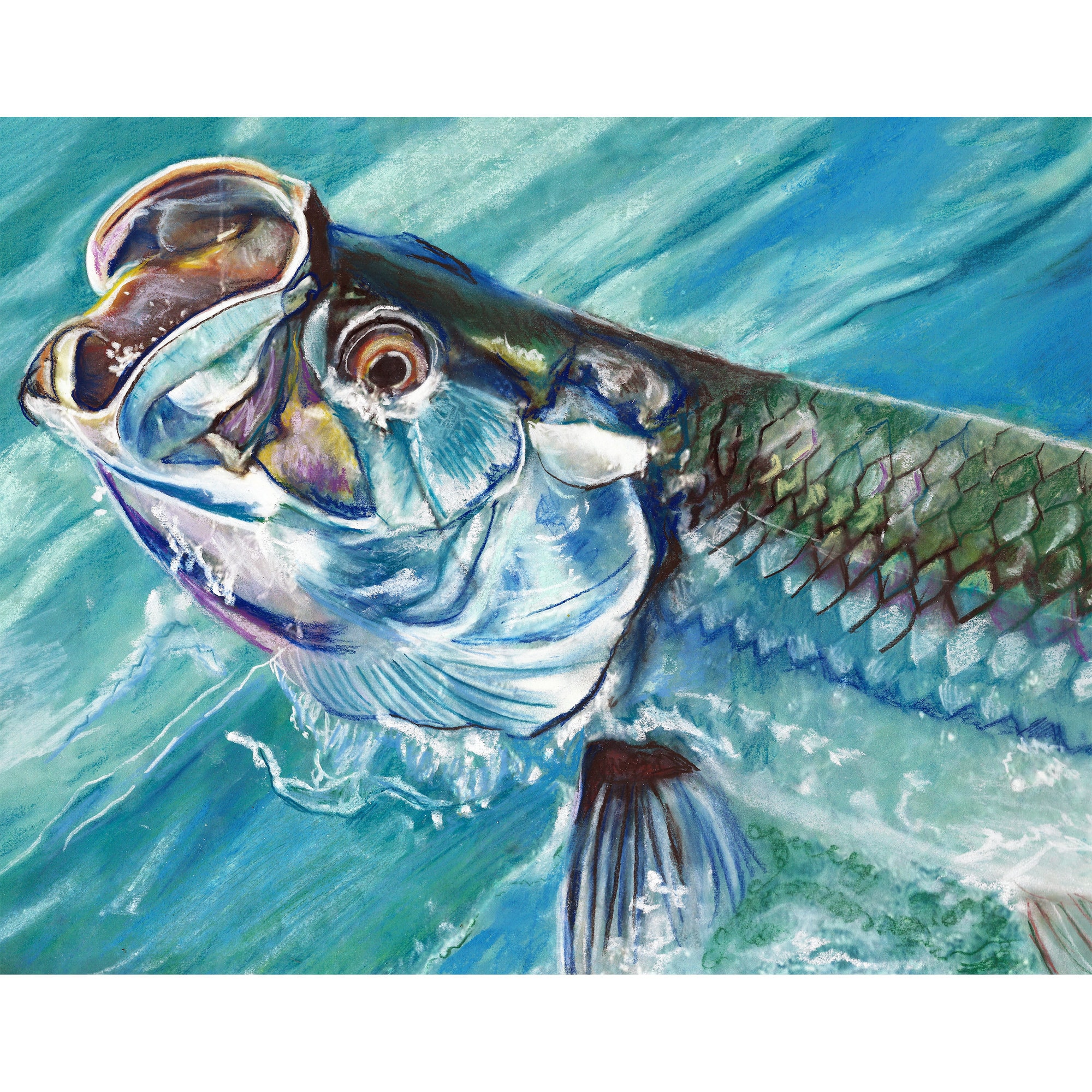 Choose Any 8 Wall Art Prints Fishing Wall Art Florida Décor - Etsy