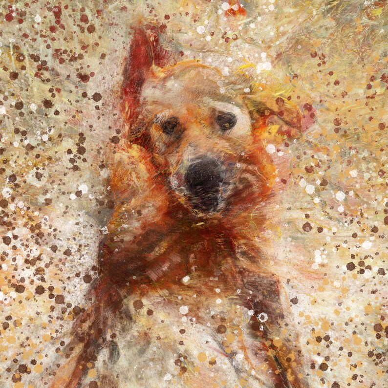Pair of Splashing Fox Red Lab Dog Wall Art Prints Yellow - Etsy