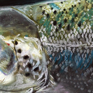 Set of Two Atlantic Salmon Wall Art Print ,salmon Painting Print, Fly ...