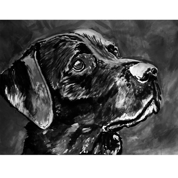 Labrador Art Print Portrait Handsome Black Labrador Retriever | Etsy