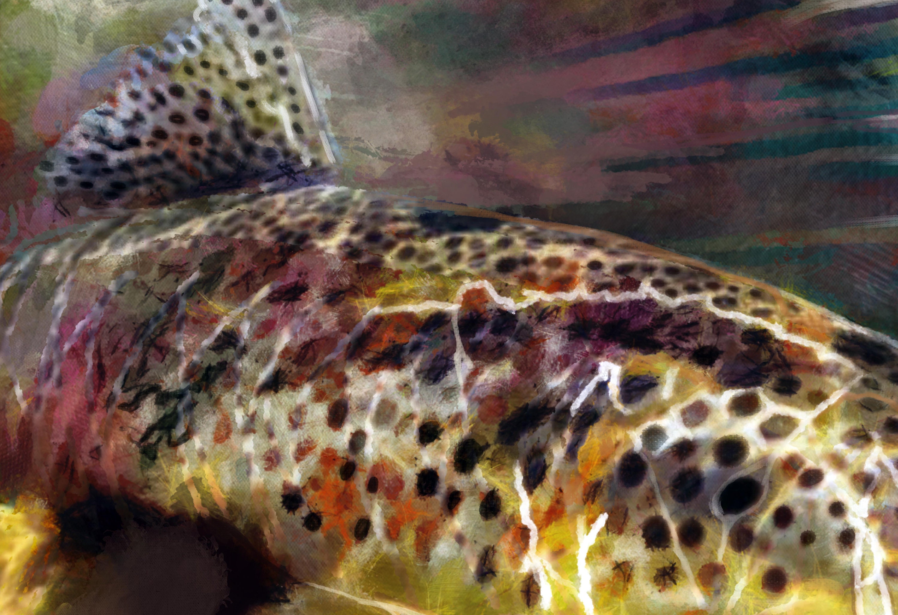 Four Wild Trout Abstract Art Prints Fly Fishing Gift fly - Etsy