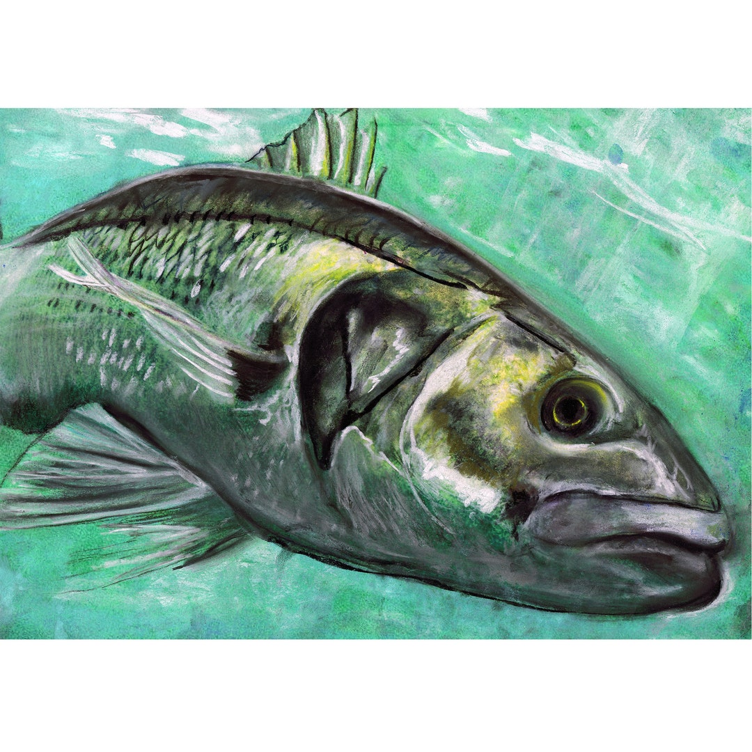 Sea Bass Art Print "dicentrarchus Labrax" Pastel Painting | Bass ...