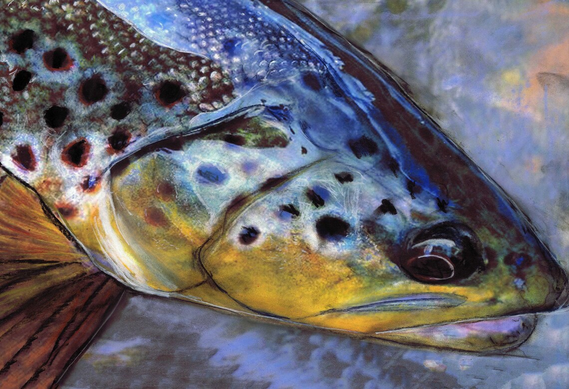Brown Trout Pastel Painting Fishing Art Print Fishing lover | Etsy