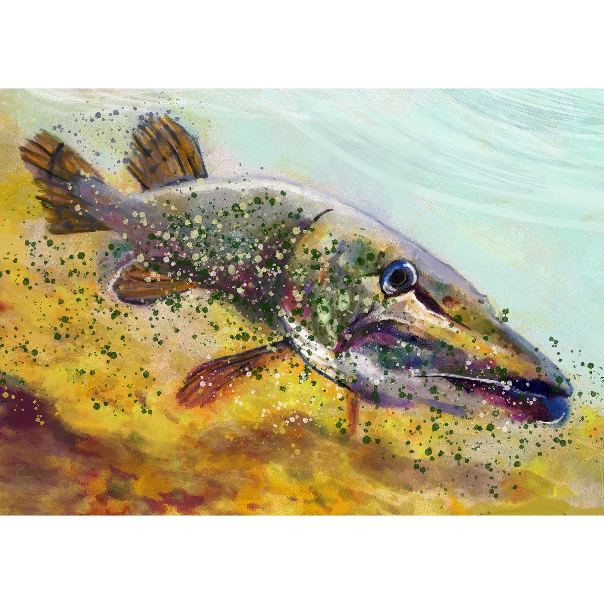 Freshwater Fishing Art