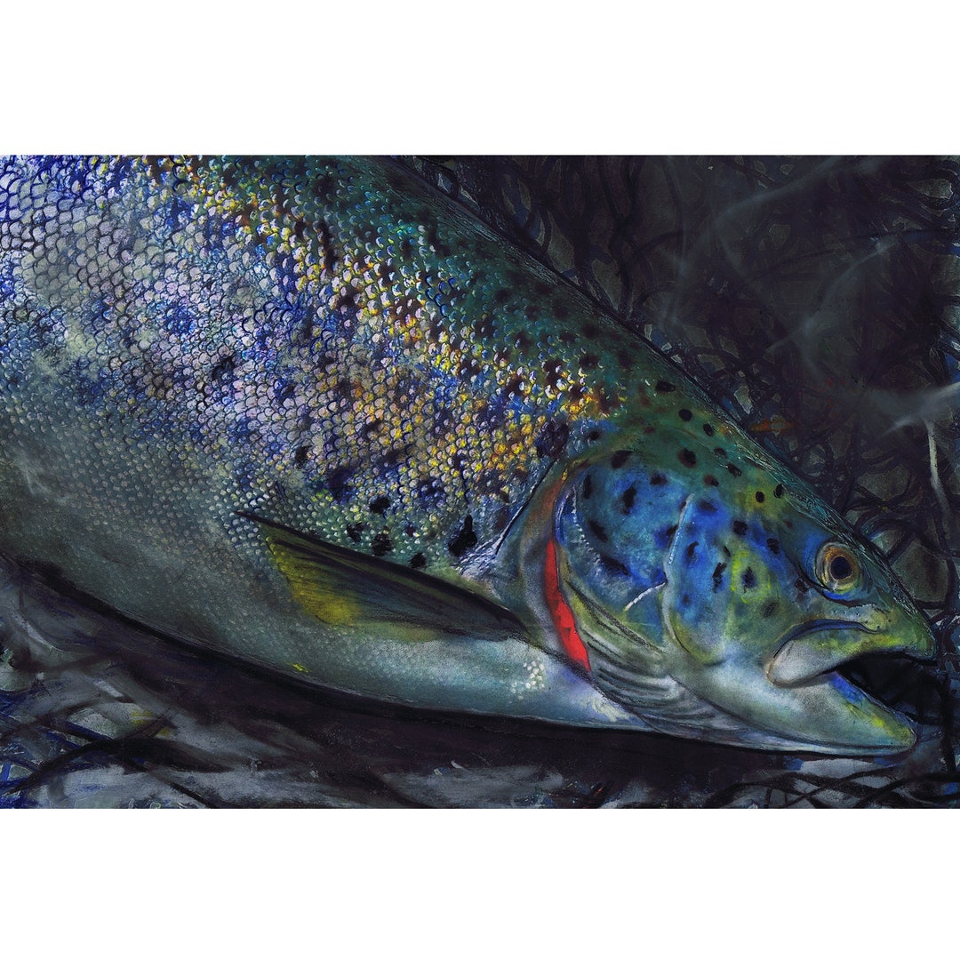 Salmon Wall Art Print "netted Salmon Painting" Fly Fishing Gift for Him ...