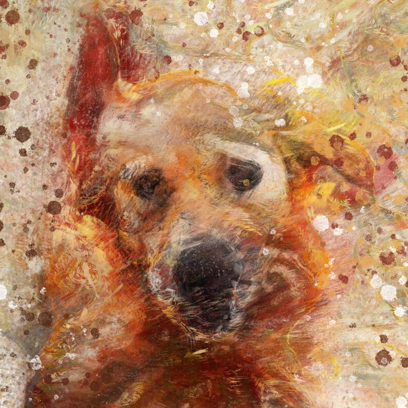 Pair of Splashing Fox Red Lab Dog Wall Art Prints Yellow - Etsy