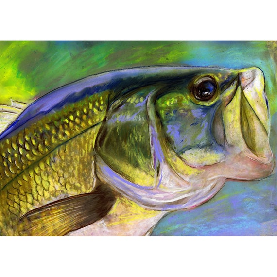 Largemouth Bass Wall Art Print Bass Fishing Artwork Choice - Etsy