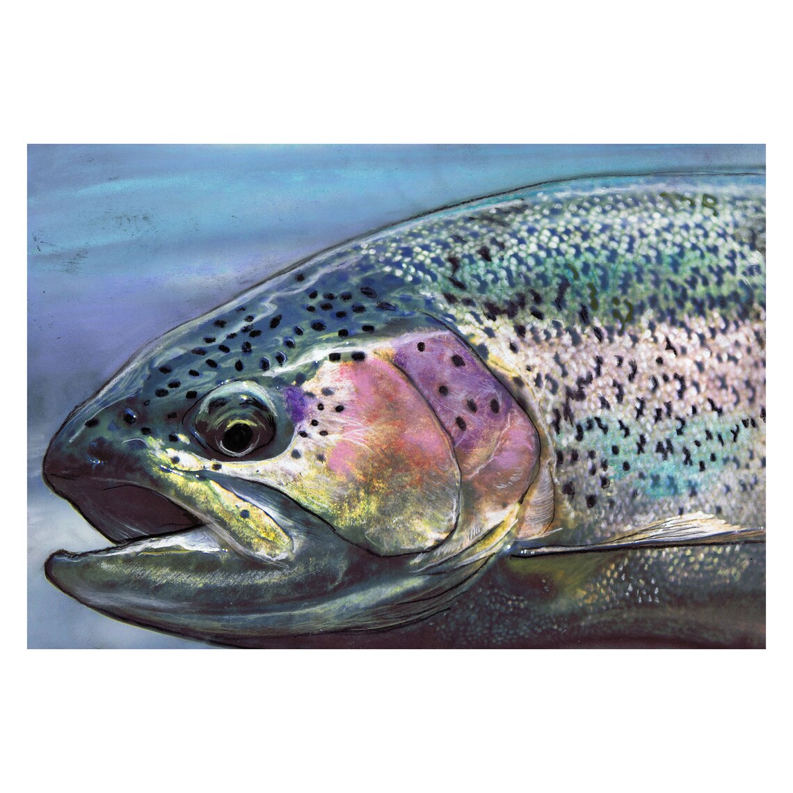 Rainbow Trout Fly Fishing Art Gift Fly Fishing Wall Art - Etsy