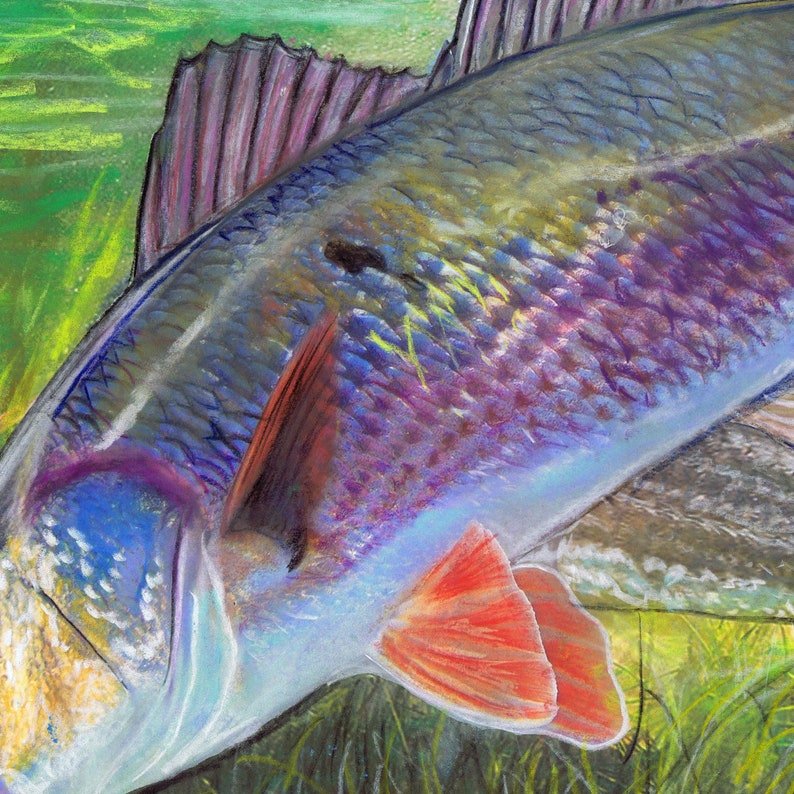 Redfish Wall Art Prints Set of 2 Red Drum Fishing Artwork - Etsy