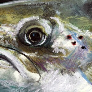 Set of Two Atlantic Salmon Wall Art Print ,salmon Painting Print, Fly ...