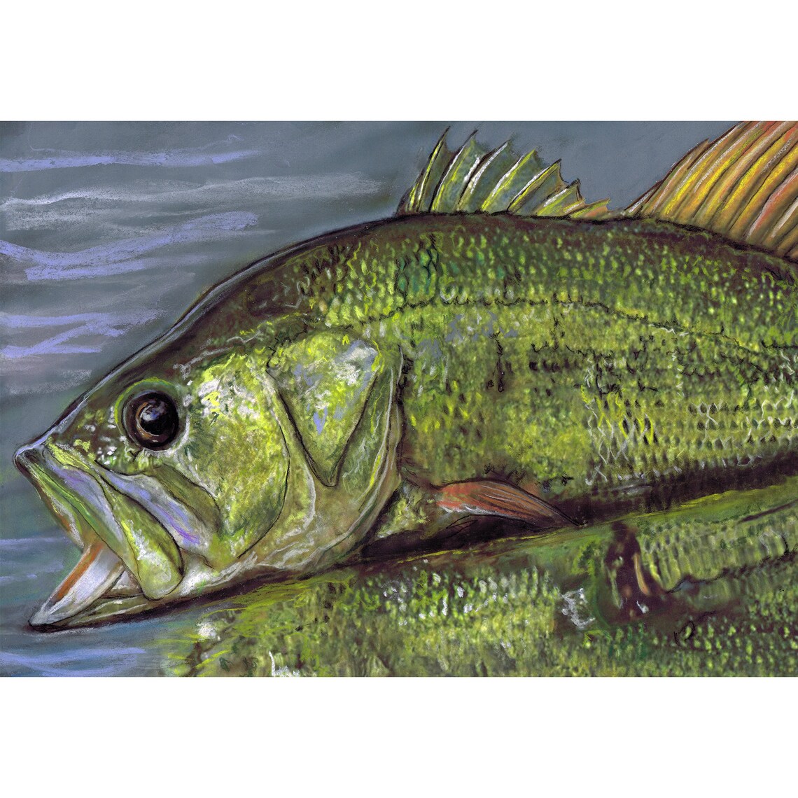 Choose Any 8 Wall Art Prints Fishing Wall Art Florida Décor - Etsy