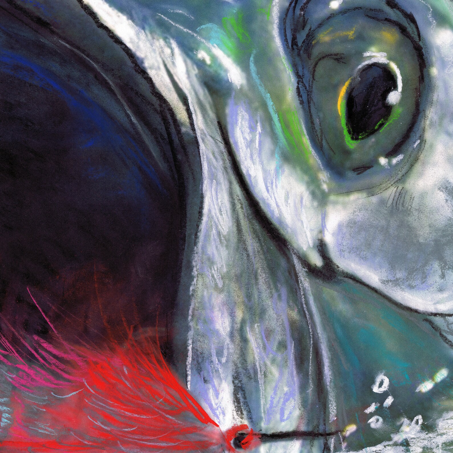 Four Tarpon Wall Art Prints Fishing Wall Art Florida Décor - Etsy