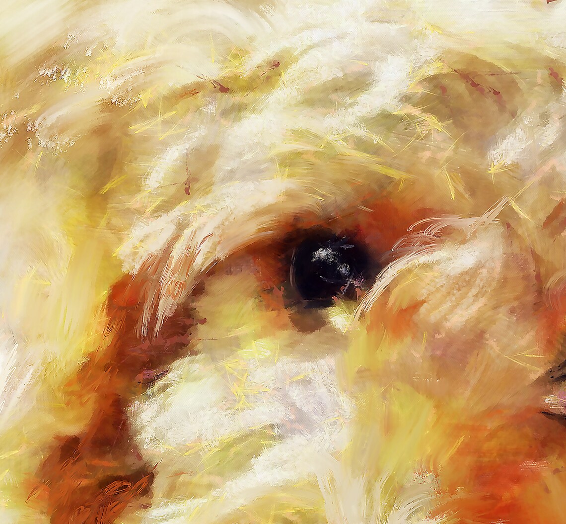 Cockapoo Dog Owner Gift Abstract Painting Wall Art Print - Etsy UK