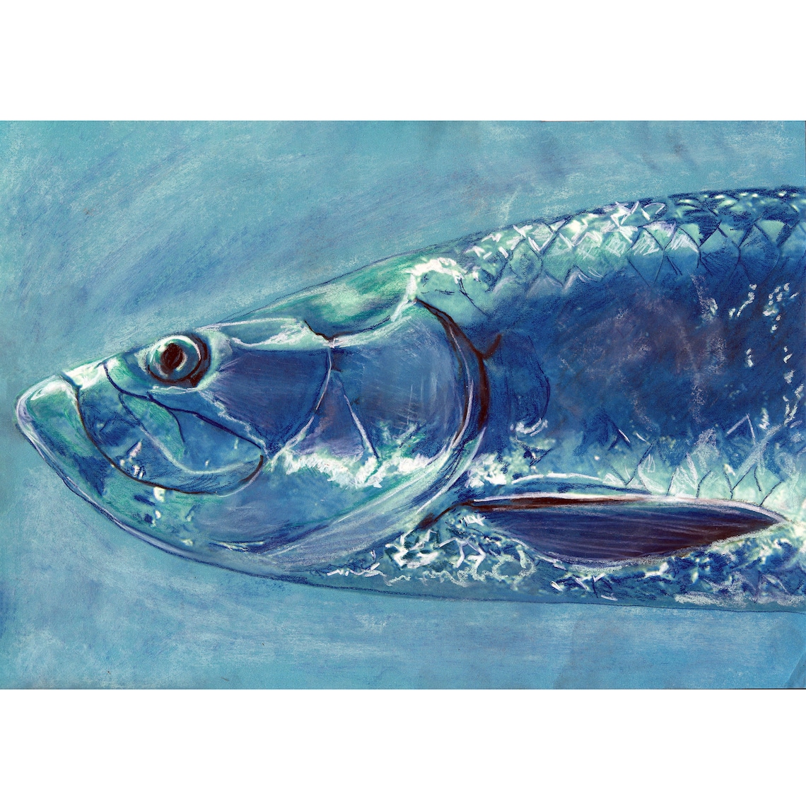 Tarpon Fishing Modern Art Print Saltwater Fishing Wall Art - Etsy