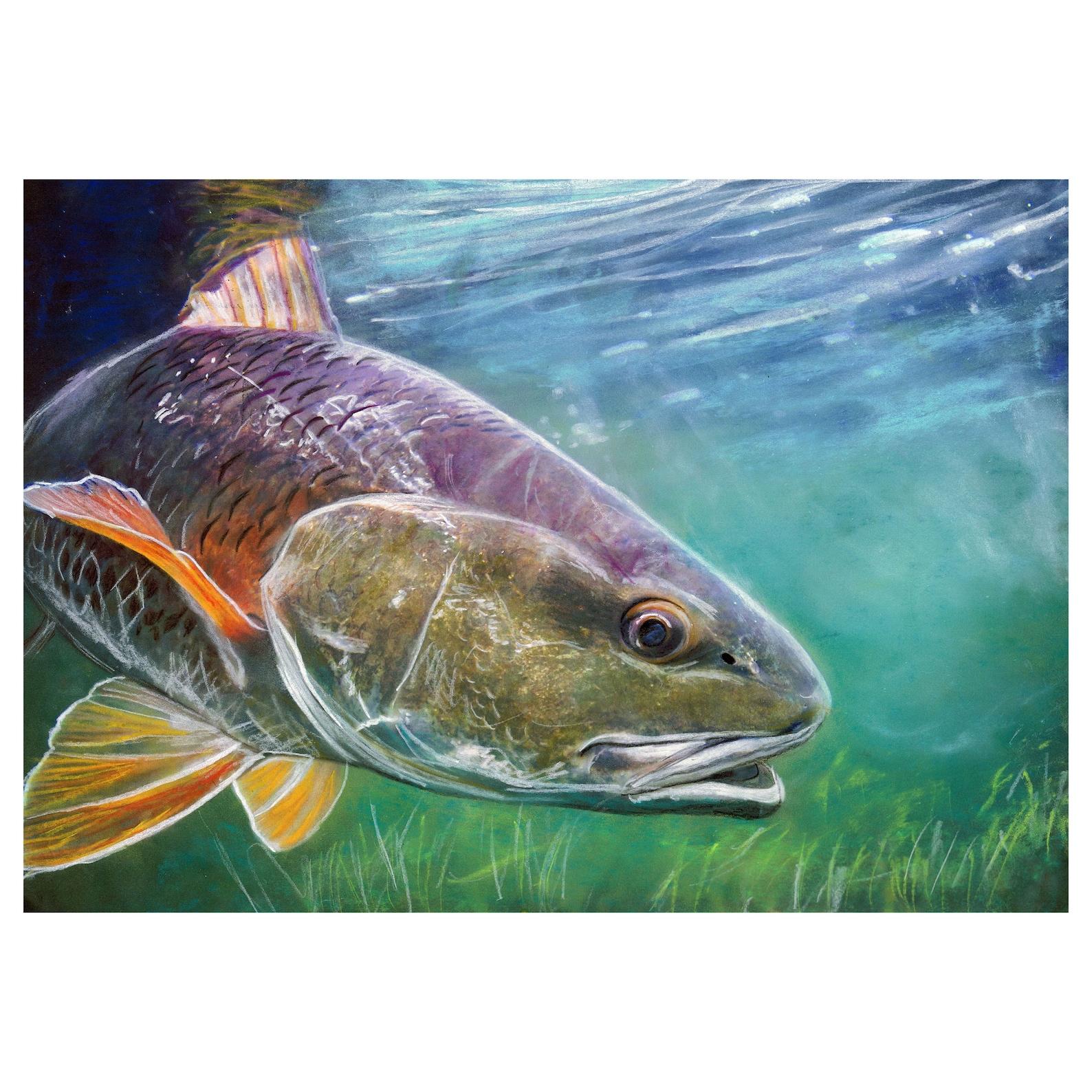 Redfish Wall Art Print Redfish Fishing Artwork Gift Red Drum - Etsy