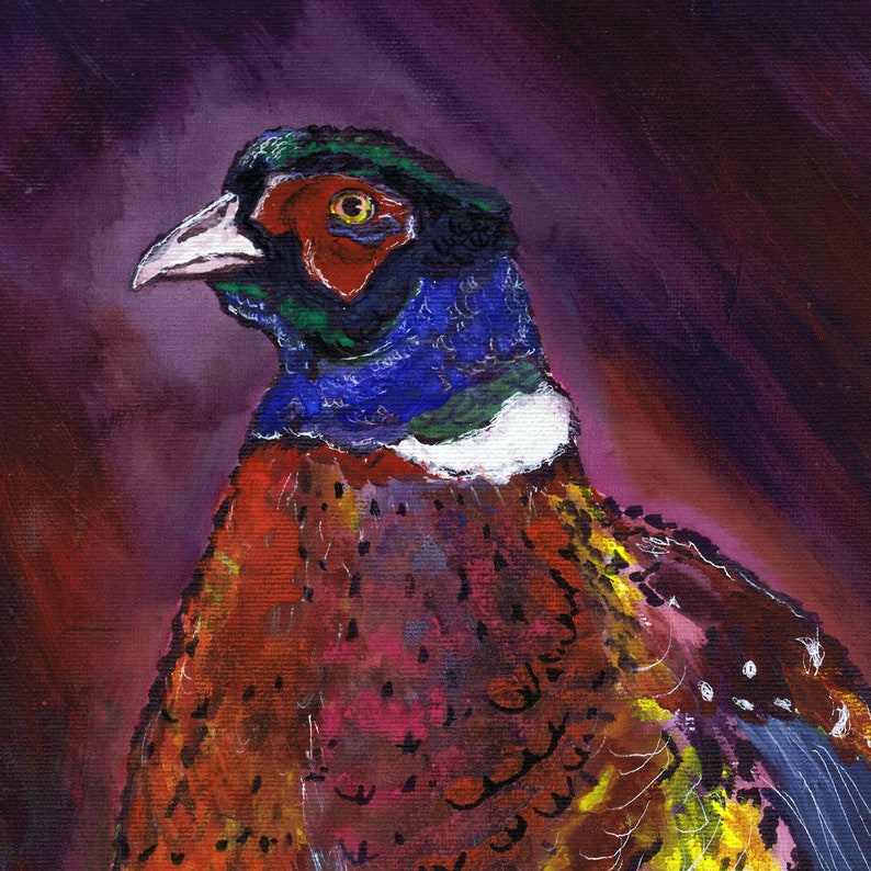 Pheasant Painting Wall Art Print Colourful Bird Picture Nature - Etsy