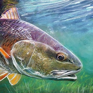 Redfish Wall Art Print, Redfish Fishing Artwork Gift Red Drum Pastel ...
