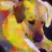 Yellow Labrador Retriever Art Print: Colourful Stretching Lab Puppy ...
