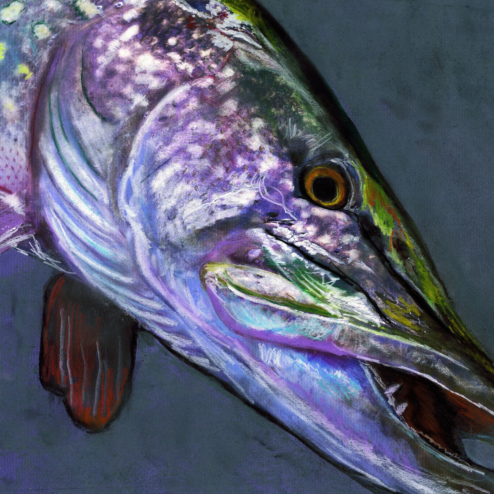 Northern Pike Art Print Freshwater Fishing Wall Art Print - Etsy