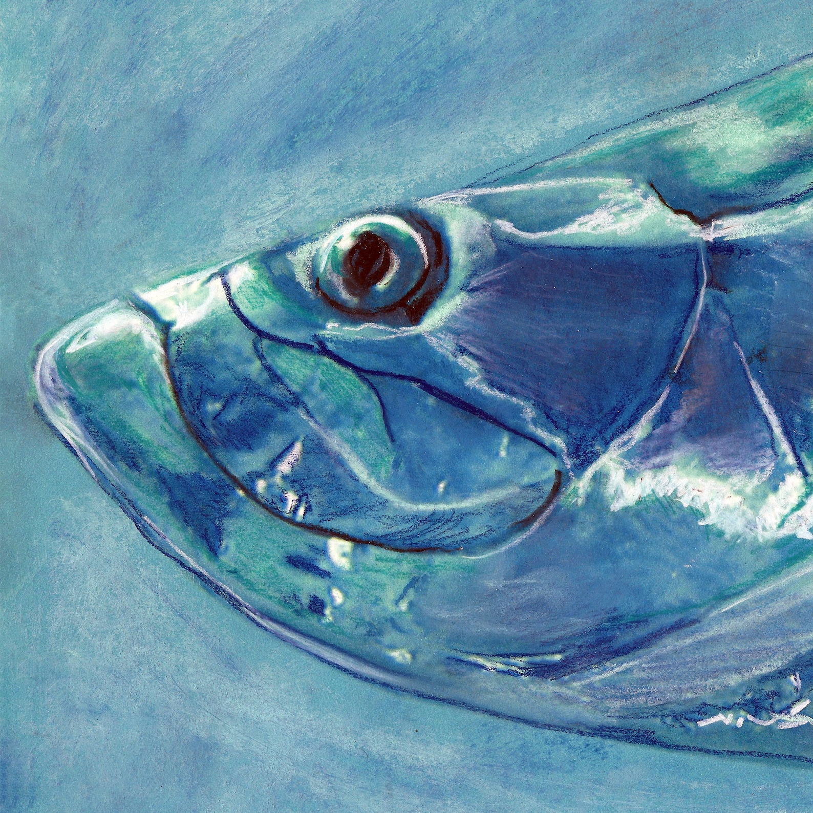 Tarpon Fishing Modern Art Print Saltwater Fishing Wall Art - Etsy