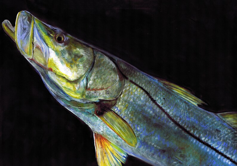 Four Art Prints Inshore Grand Slam Fisherman Wall Décor - Etsy