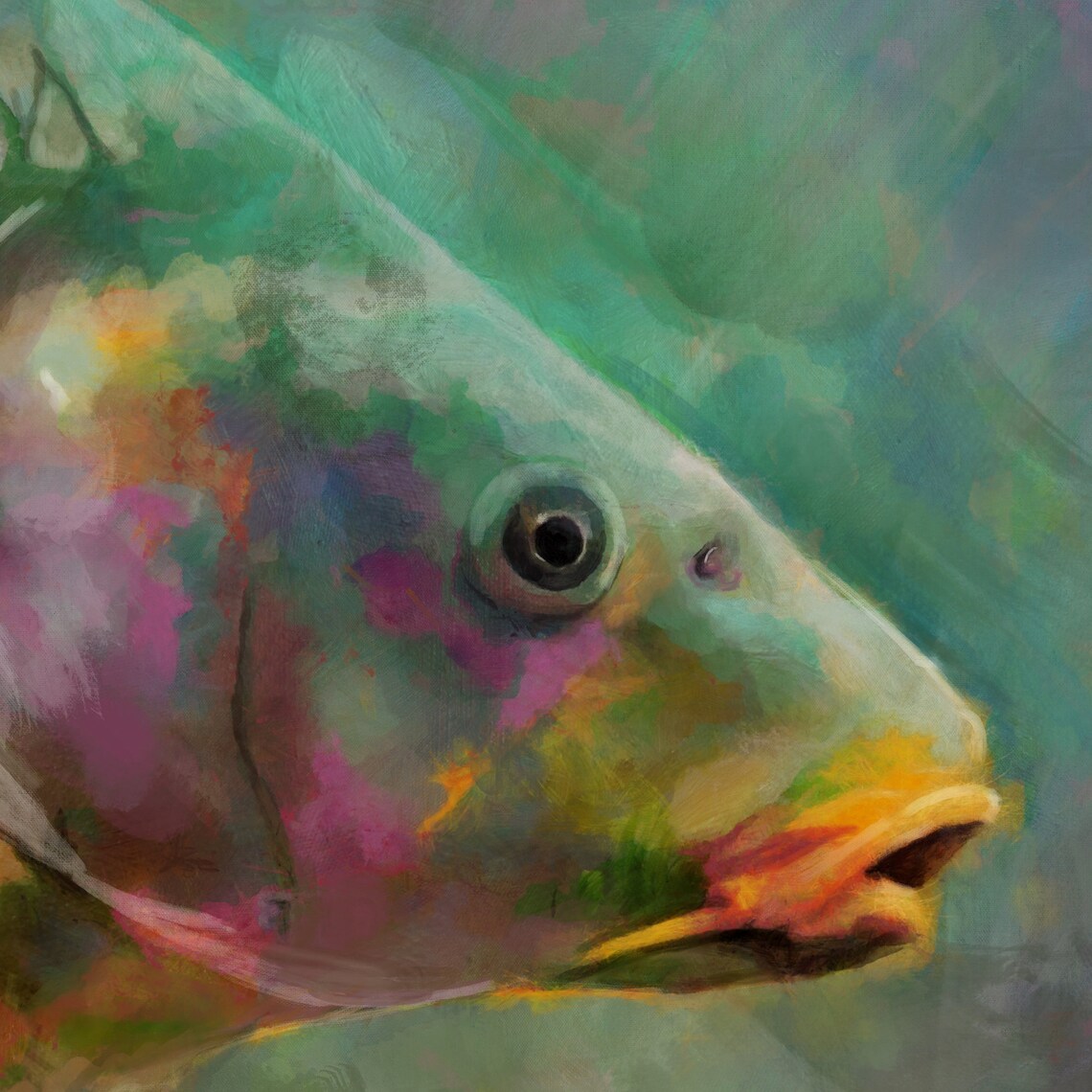 Carp Modern Art Print Freshwater Carp Fishing Wall Art Print - Etsy
