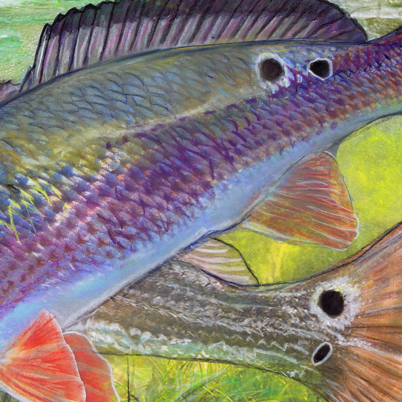 Redfish Wall Art Prints Set of 2 Red Drum Fishing Artwork - Etsy