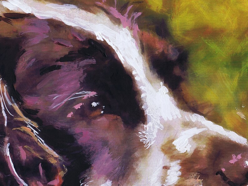 Springer Spaniel Painting Print English Welsh Springer Wall - Etsy