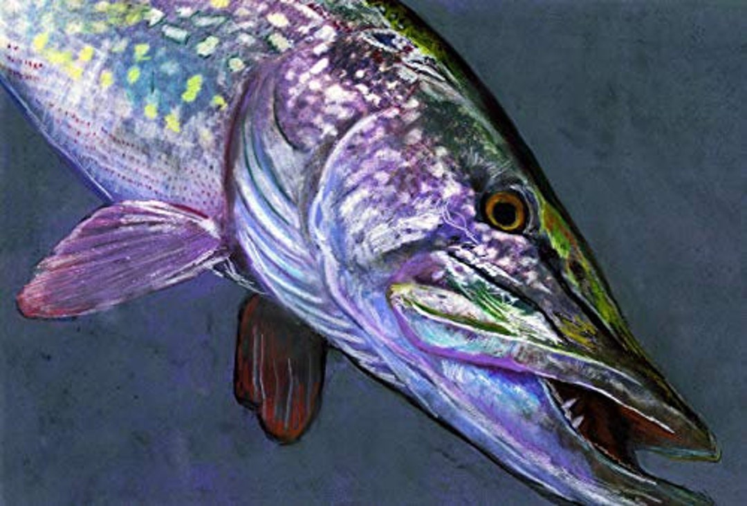 Northern Pike Art Print, Freshwater Fishing Wall Art Print, Hand Signed ...