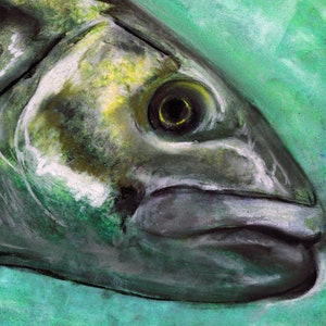 Sea Bass Art Print "dicentrarchus Labrax" Pastel Painting | Bass ...