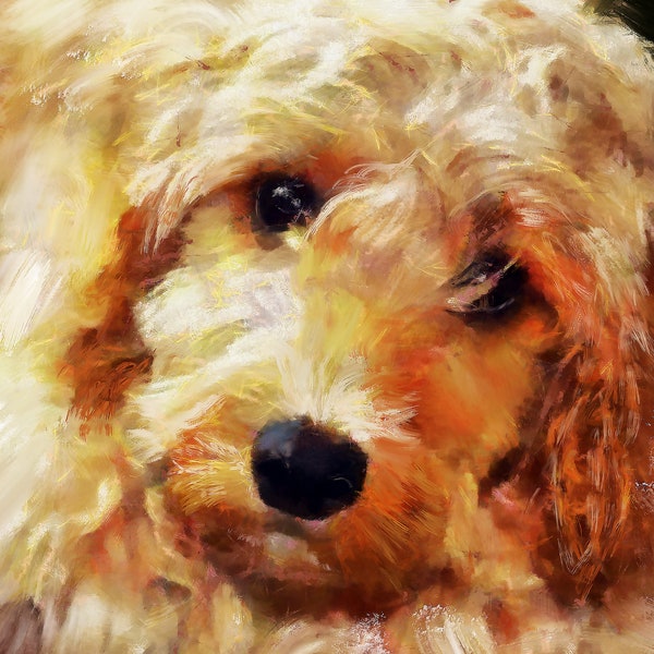 Cockapoo Art - Etsy UK