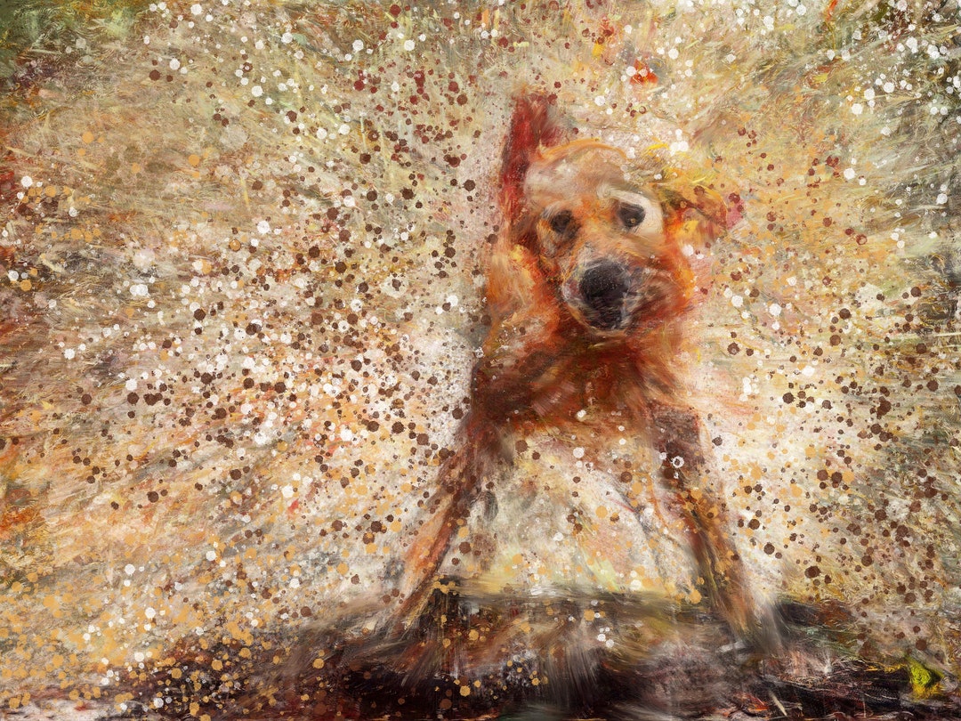 Muddy Splashy Lab Dog Wall Art Print, Yellow Fox Red Labrador Dog ...