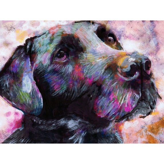 Black Labrador Dog Wall Art Print Abstract Colourful Painting - Etsy