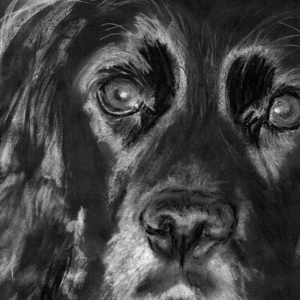 Working Cocker Spaniel Charcoal Drawing Print Black and White | Etsy