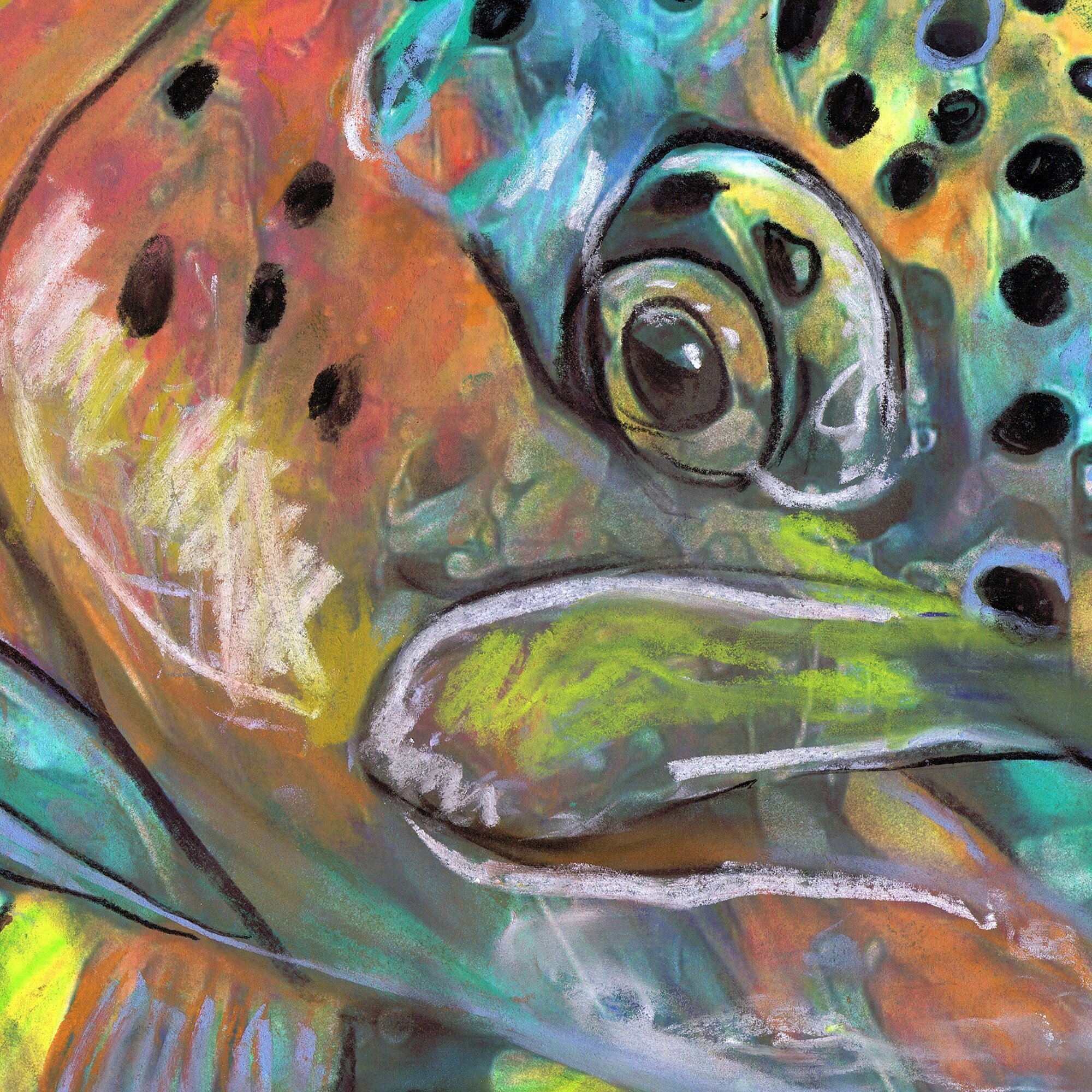Four Rainbow Trout Abstract Art Prints Fly Fishing Gift Fly | Etsy