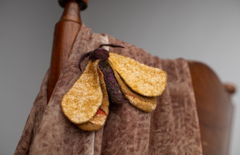 Moth Brooch, Silk Moth, Big Moth,felted Insect Brooch, Wool Moth, Luna ...