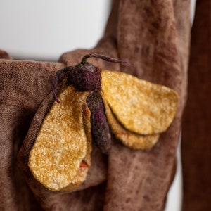 Moth Brooch, Silk Moth, Big Moth,felted Insect Brooch, Wool Moth, Luna ...