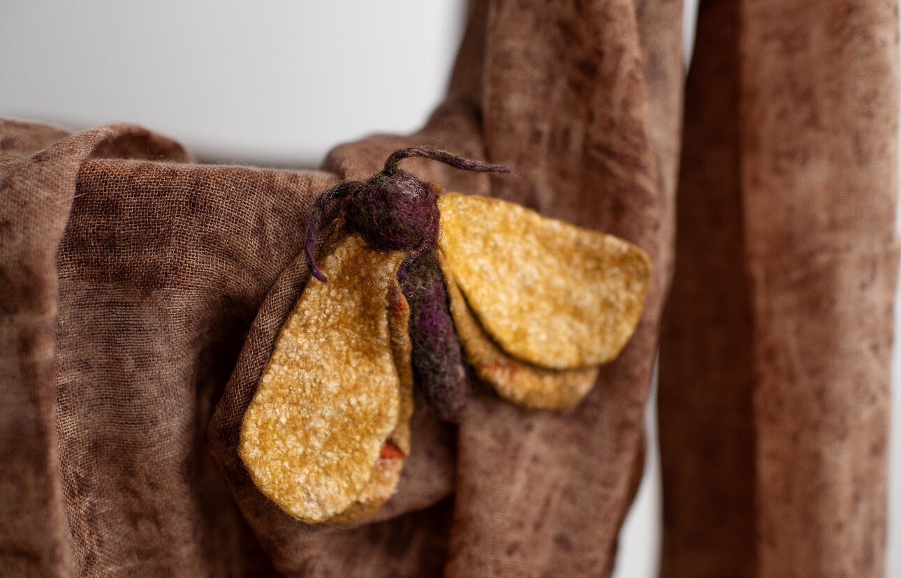 Moth Brooch, Silk Moth, Big Moth,felted Insect Brooch, Wool Moth, Luna ...