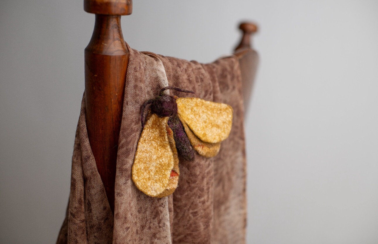 Moth Brooch, Silk Moth, Big Moth,felted Insect Brooch, Wool Moth, Luna ...