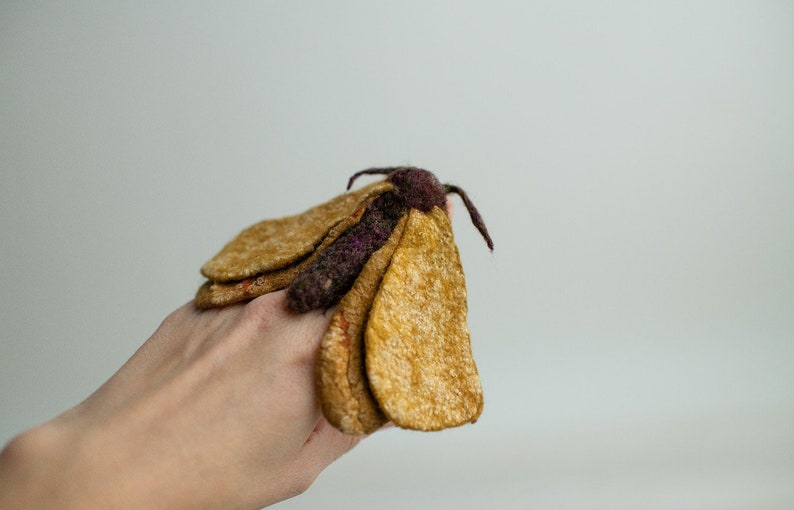 Moth Brooch, Silk Moth, Big Moth,felted Insect Brooch, Wool Moth, Luna ...