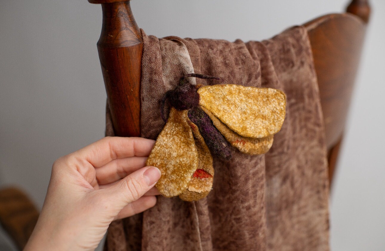 Moth Brooch, Silk Moth, Big Moth,felted Insect Brooch, Wool Moth, Luna ...